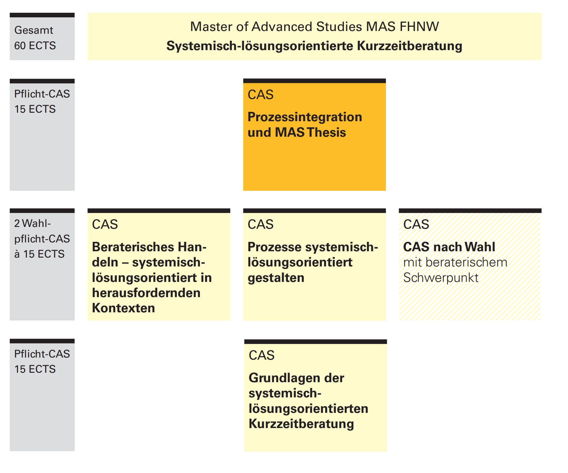 MAS - Systemisch-lösungsorientierte Beratung